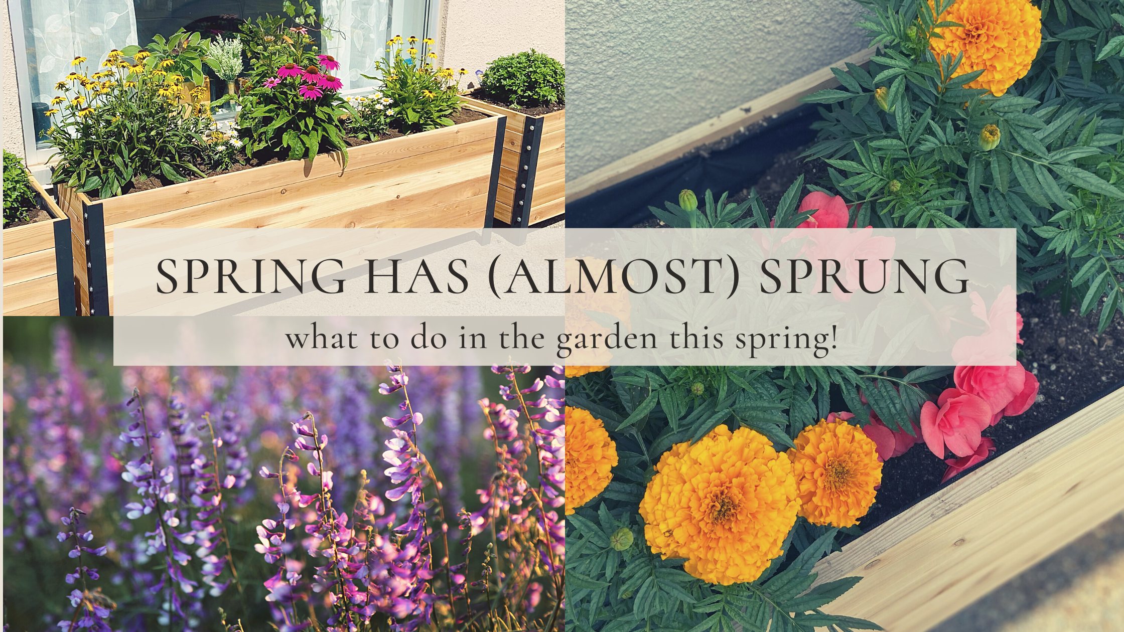 Spring has (almost) Sprung! – Cedar Planters UK
