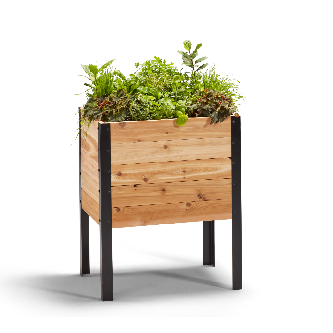 Mini Raised Garden Bed – Cedar Planters UK